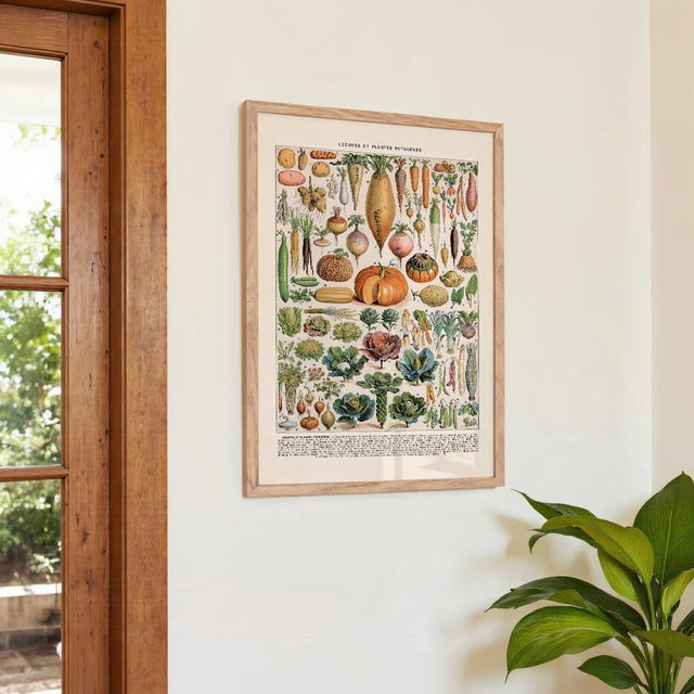 Légumes et Plantes Potagères – Vintage Botanical Poster – Kuriosis Fine ...