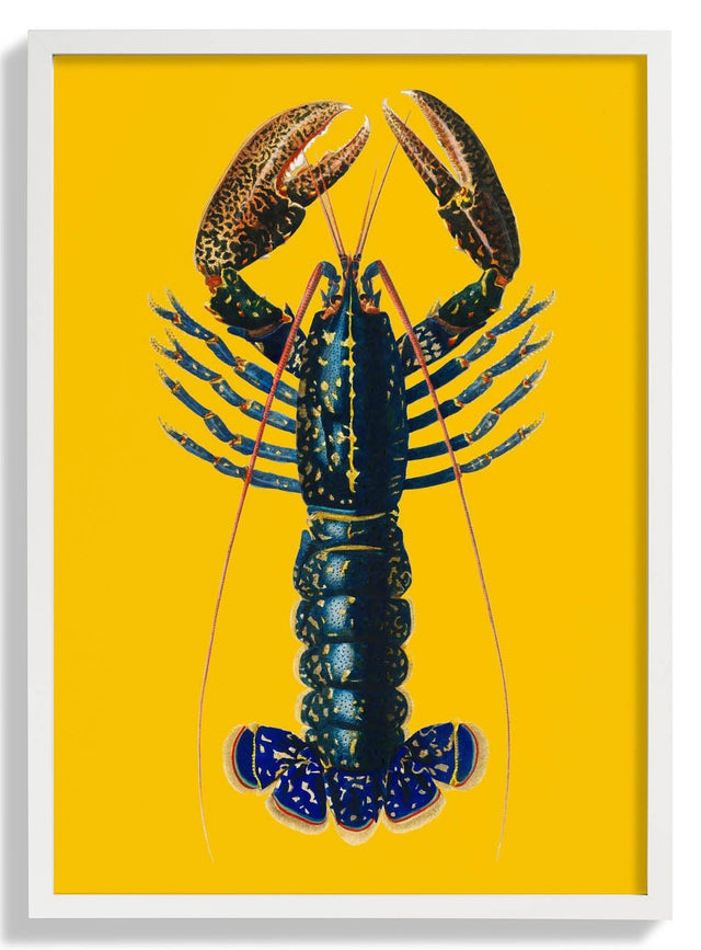 Lobster Yellow – Vintage Animal Illustration Poster – Kuriosis Fine Art ...